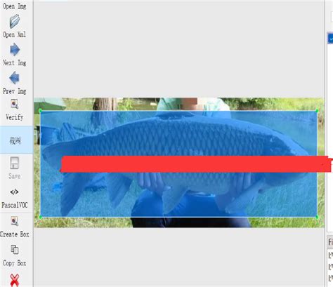 淡水鱼目标检测数据集 31类 2900张 鱼数据集带标注 Voc Yolo