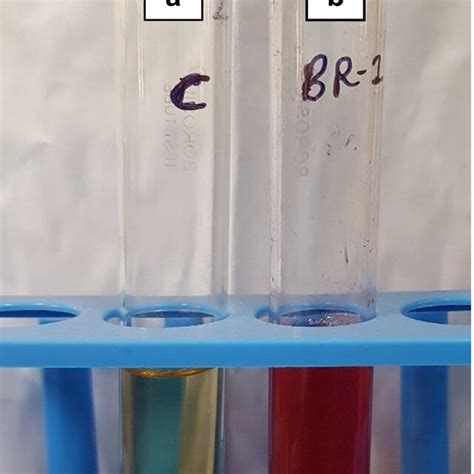Screening Of Nitrate Reductase Enzyme Producing Bacterial Strain Using Download Scientific