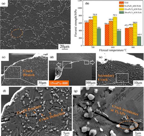 Microstructure Flexural Properties And Fracture Morphology Of Download Scientific Diagram