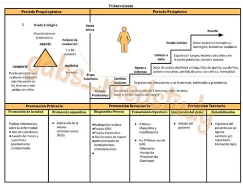 Prevención Y Manejo De La Tuberculosis Aspectos Clave En Historia