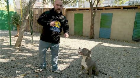 ბრძანება დაცვა კახას სკოლა Youtube