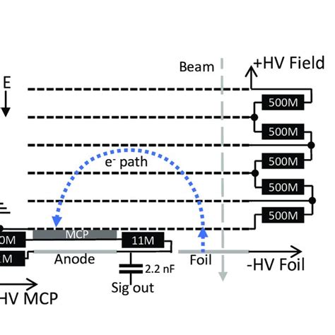 Color Online Schematic Of The Mcp Detector Not To Scale Download Scientific Diagram