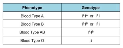 Topic 3 Genetics Flashcards Quizlet