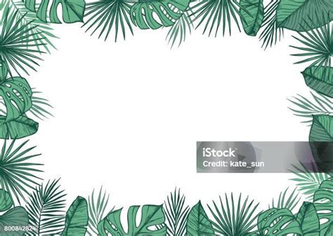 핸드 레터링 벡터 일러스트 레이 션프레임 알로하와 종 려 잎을 그려 열 대 디자인 요소입니다 완벽 한 인쇄 포스터 초대장 등 0명에 대한 스톡 벡터 아트 및 기타 이미지