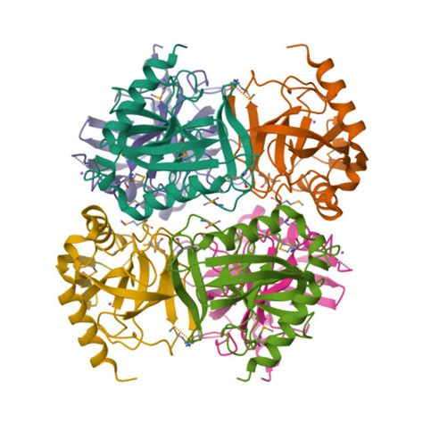 Rcsb Pdb 3i4q Structure Of A Putative Inorganic Pyrophosphatase From The Oil Degrading