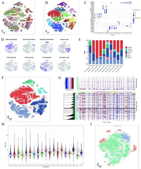single cell classification results of lihc a b t sne plots colored