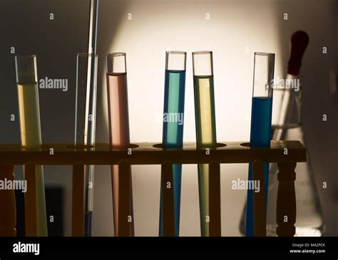Biochemistry Lab Experiments At Sean Swick Blog