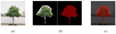 Sensors Free Full Text Automatic Segmentation Of Standing Trees