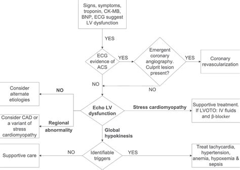 Algorithm For Management Of Lv Dysfunction In The Critically Ill Based