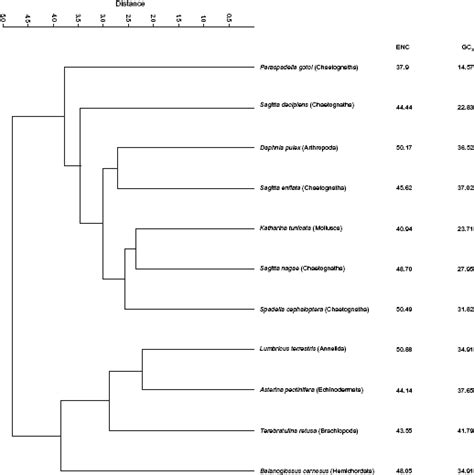 Cluster Analysis All Examined Species Were Grouped Into Two Clusters