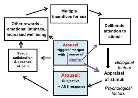 The Science Of Orgasms Part Two The Female Orgasm Power Sex Beauty