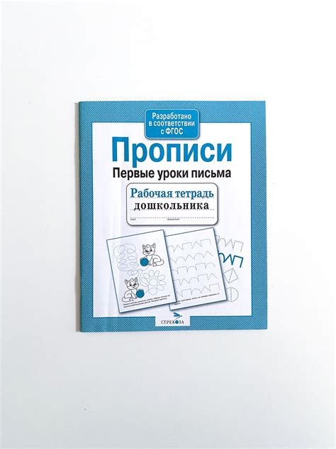 Прописи Первые уроки письма Vilki Books