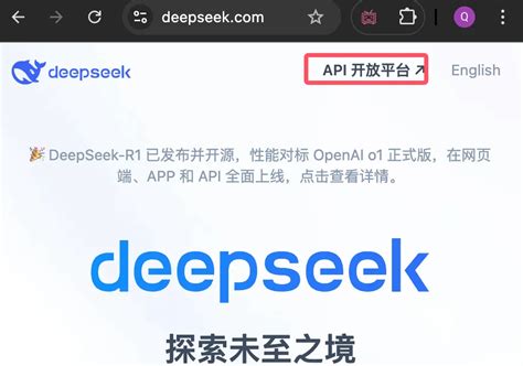 VSCode 接入 DeepSeek 菜鸟教程