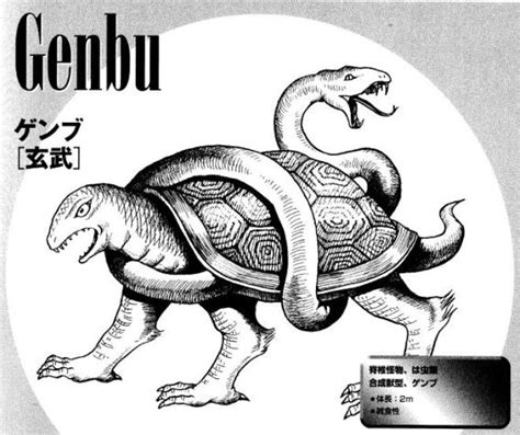 モンスター解体新書 川辺 ゲンブ 玄武