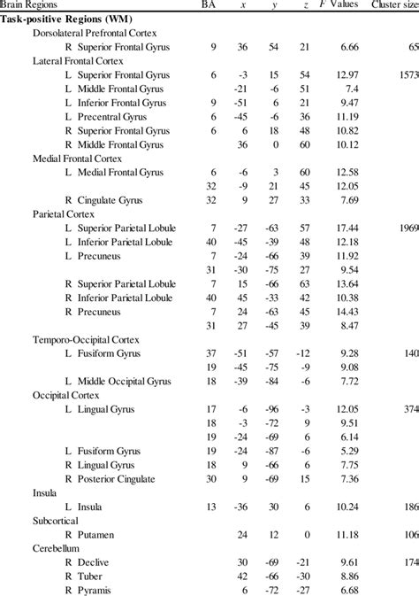Task Positive And Task Negative Brain Regions Showing Up And Down