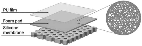 Three Layers Structure Of Foam Dressings Download Scientific Diagram