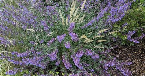 Part 2 Album On Imgur