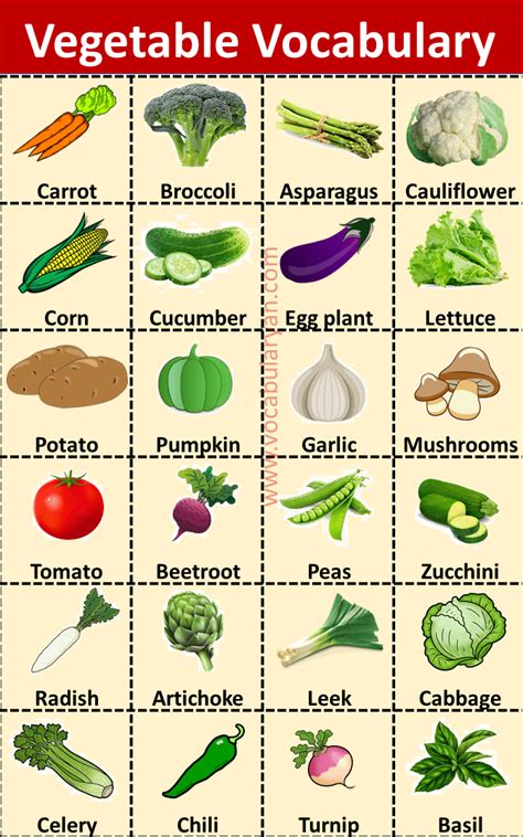 Top 999 Vegetables Images With Names Amazing Collection Vegetables