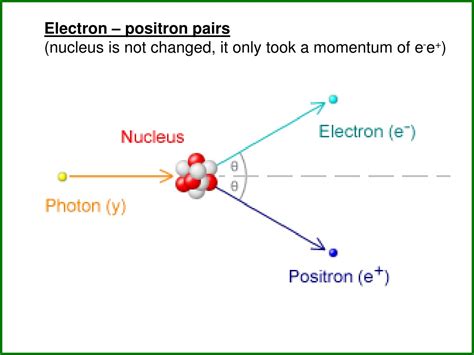 Ppt Radioactivity And Ionizing Radiation Ivan Polia ček Nadezda Visnovcova Powerpoint