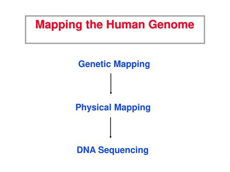 Genetic Map