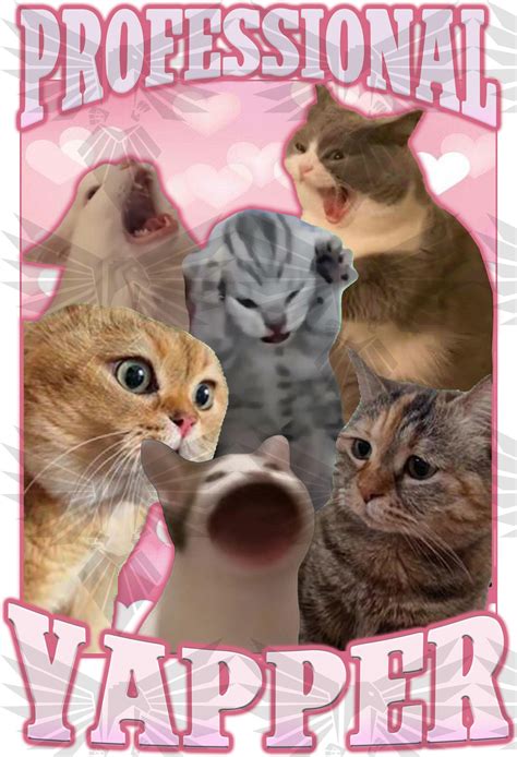 Professional Yapper Funny Cat Meme Png Printables Goofy Ahh Dtg Files Fluent In Yapanese