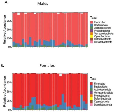 Probiotics Alter The Microbial And Behavioral Consequences Of Methamphetamine Exposure In A Sex