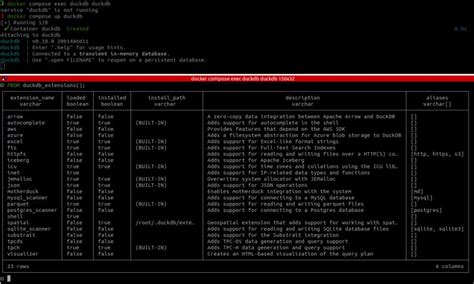 ernesto crespo on linkedin duckdb docker