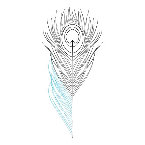 How To Draw A Peacock Feather Step By Step