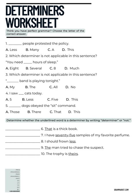 What Is A Determiner Types And Examples With Worksheet