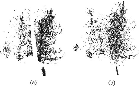 The Optimization Of An Incomplete Tree Point Cloud A The Raw Point Download Scientific