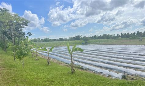 Gallery Of A Model For A Healthier Adaptive Approach To Community Development 4