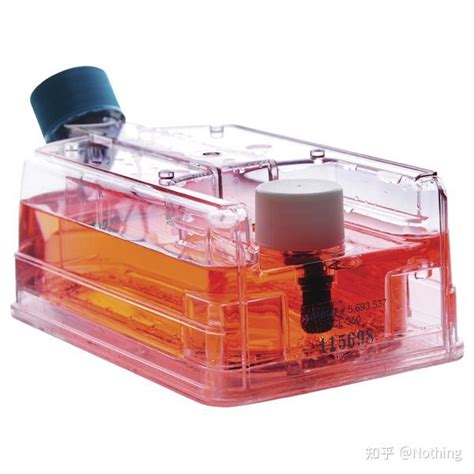 细胞培养的几种方法和步骤 知乎