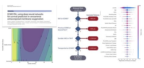 Ecmo Predictive Algorithm Ecmo Intensive Care Medicine