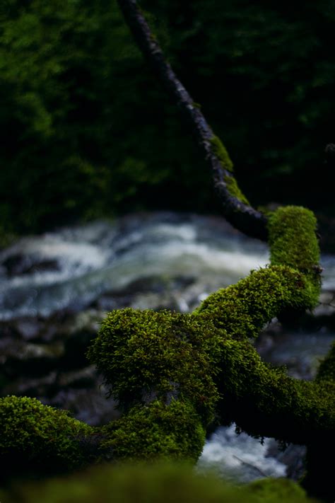 Бесплатные стоковые фото на тему Azerbaijan Beauty In Nature Beauty Of Nature Blue Blue
