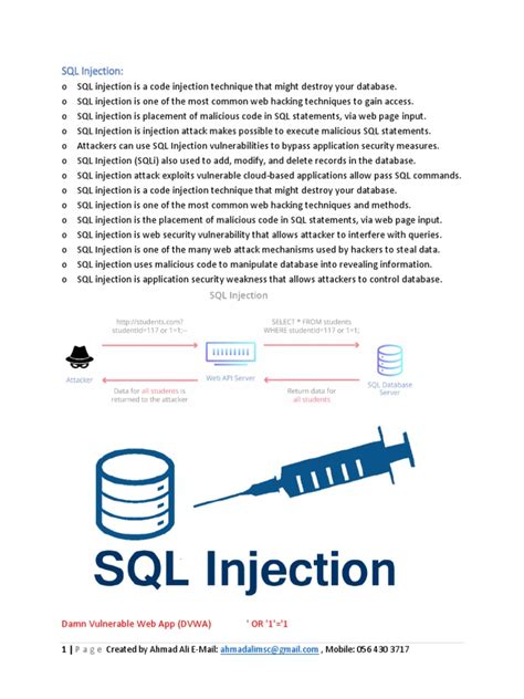 5 Security Vulnerabilities Labs Pdf Denial Of Service Attack Phishing