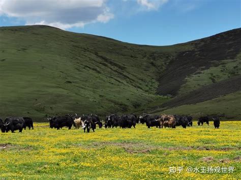 关于自驾川藏线分享你所需要提前了解的十三点 知乎