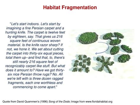 Ppt Habitat Fragmentation Powerpoint Presentation Free Download Id 2402040
