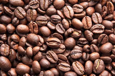 커피 콩 브라운 커피의 클로즈업 커피 콩 배경입니다 커피 콩으로 공간을 채웁니다 0명에 대한 스톡 사진 및 기타 이미지 0명