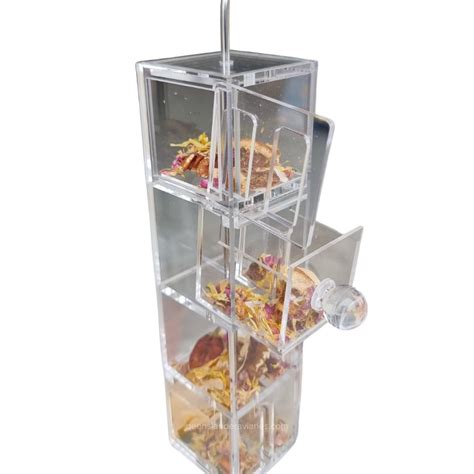 Four Stack Forage Draws Queenslander Aviaries