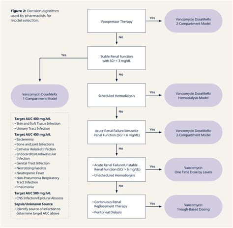 How To Create A Vancomycin Auc Based Protocol In 5 Steps • Dosemerx