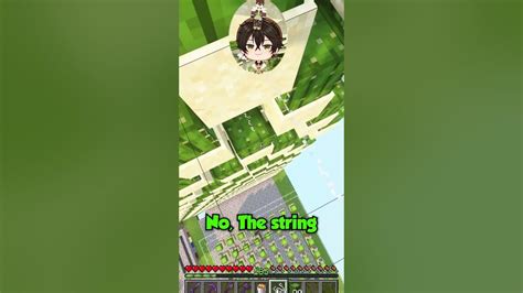 The String Minecraft Skyblock Neonetwork Youtube