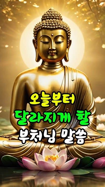 오늘부터 달라지게 할 부처님말씀 인생조언 좋은글 명언 긍정의말 철학 자기수행 지혜 Youtube