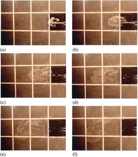 Visualizations Of The Vortex Structures Generated By An Oscillating Download Scientific Diagram