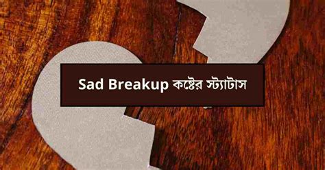 Sad Breakup কষ্টের স্ট্যাটাস 35 স্ট্যাটাস ছবি সহ Statusify