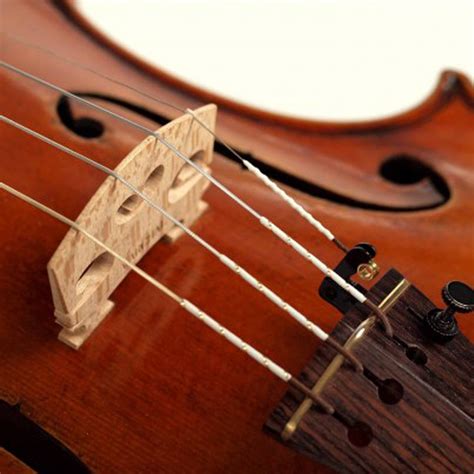 Best Strings For Sale Fiddlershop