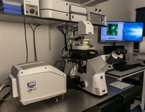 Confocal Laser Scanning Microscopy The University Of Nottingham