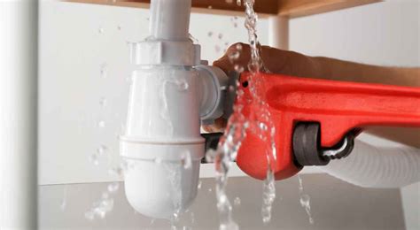 Pipe It Up Plumbing Basics You Should Know