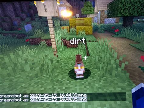 Tia S Art Blog Hey Everyone This Is My Cat In Minecraft His Name