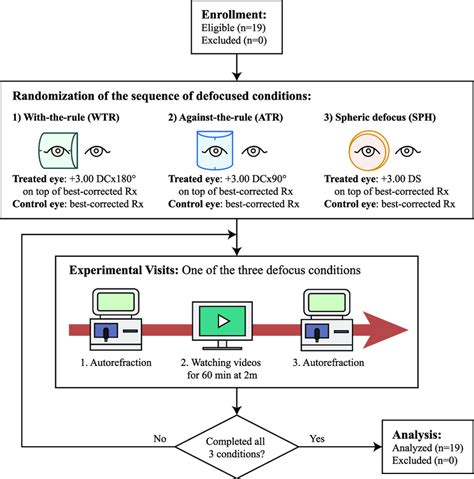 Flowchart Of Study Procedures Download Scientific Diagram