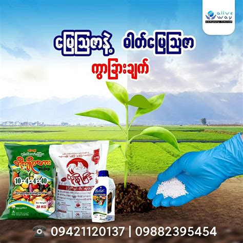 တောင်သူကြီး သောင်းကျန်းသူများ ဖမ်းသောကြောင့် ကျွန်တော် သရက်ထောင်ထဲမှာ
